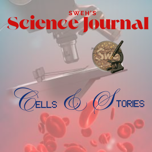 Sweh’s Science Journal - Medium