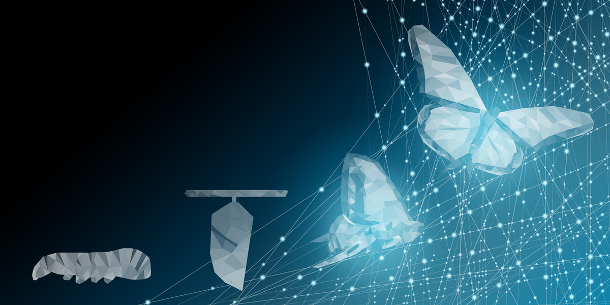 Operational Transformation with Roshan White – Medium
