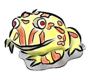 Coding Frog - Medium