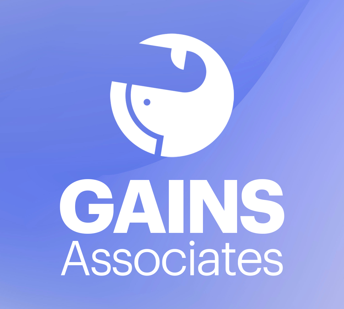 Project Overviews – GAINS Associates – Medium