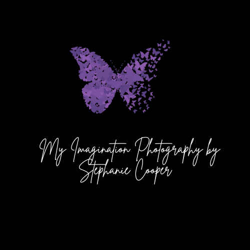 My Imagination Photography by Stephanie Cooper - Medium