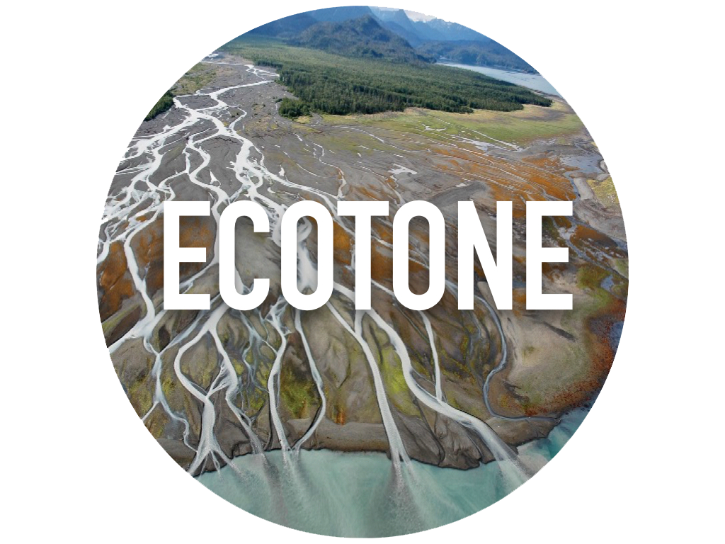 Ecotone: Stories of Ecology in Tension & Transition – Medium