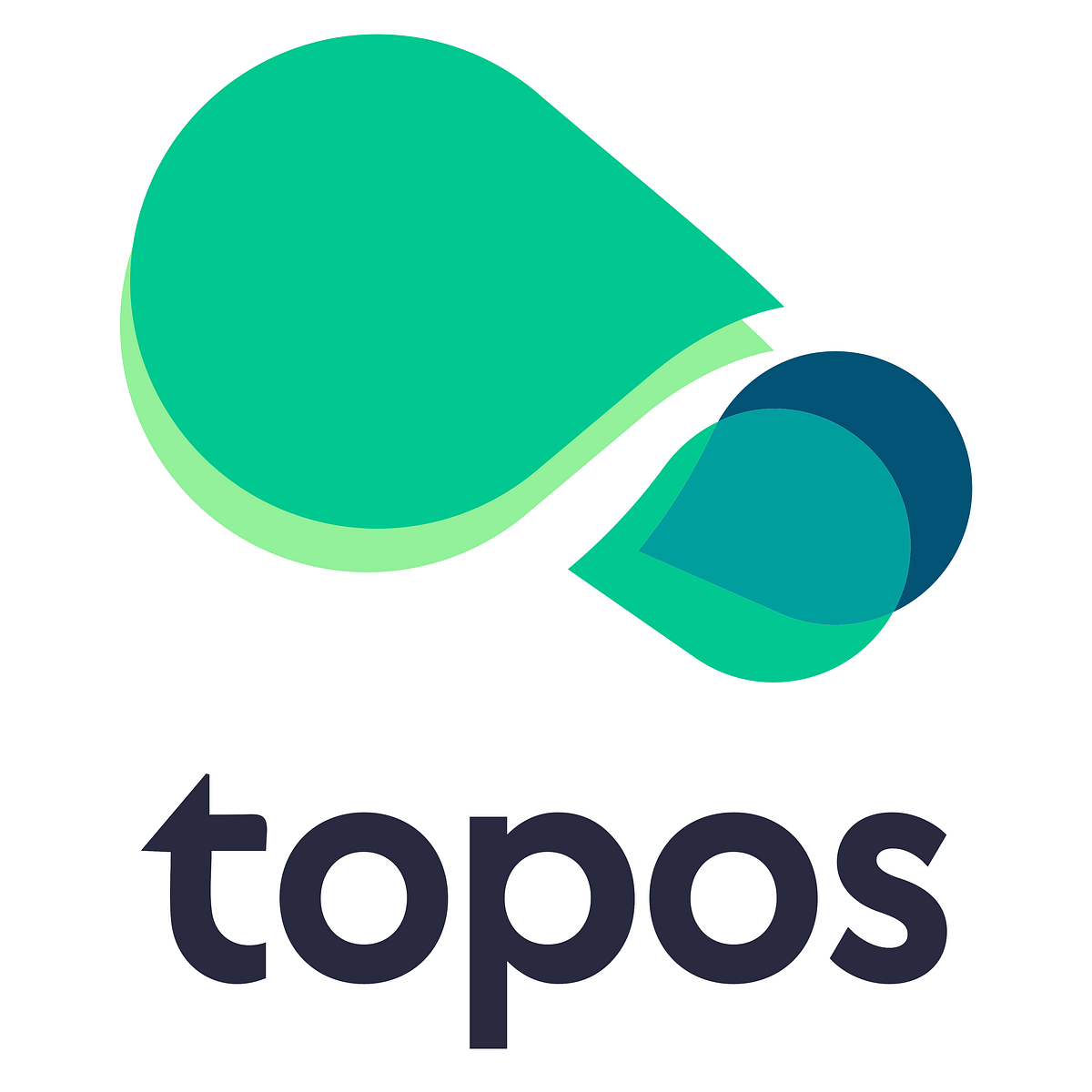 Topos Network – Medium