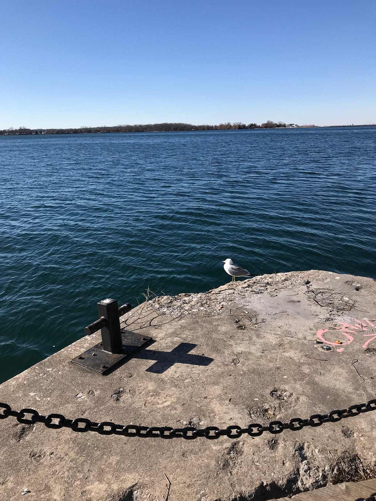 Tea by the Sea - Medium