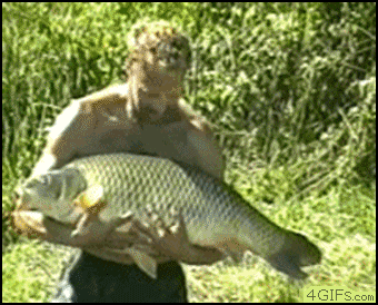 Programming is like holding a big slippery fish. – Danielle Heckman ...