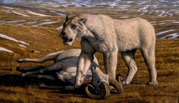 The Three Great American Extinction Events — A Brief History