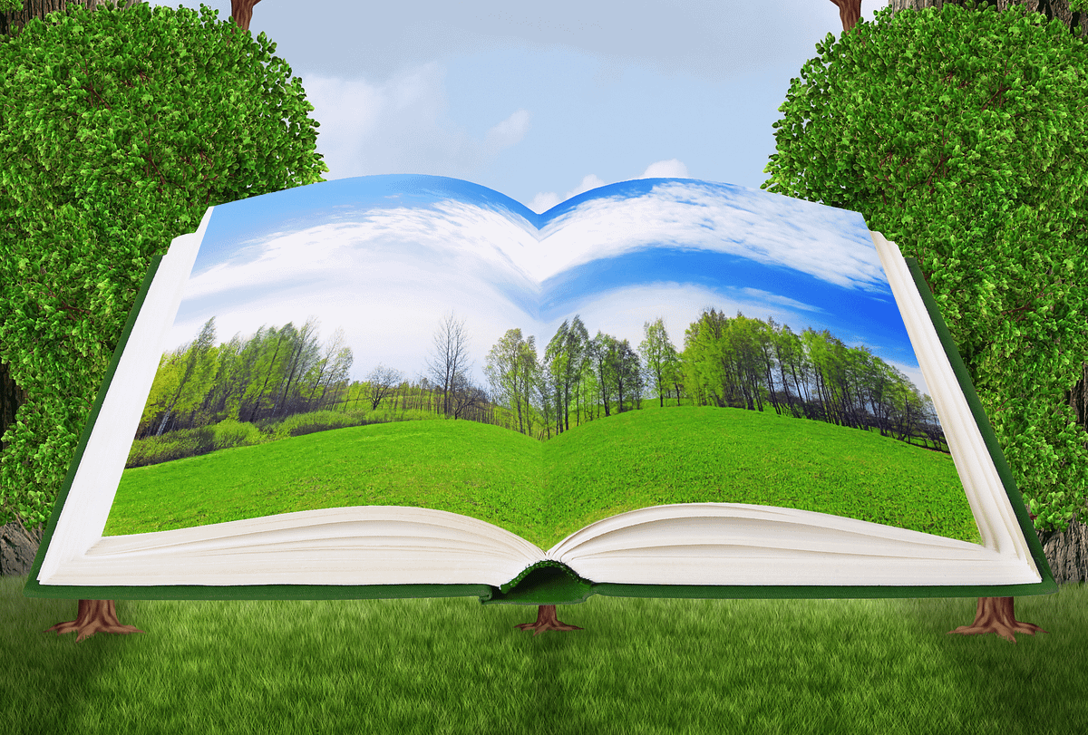 The Evergreen Directory – Medium