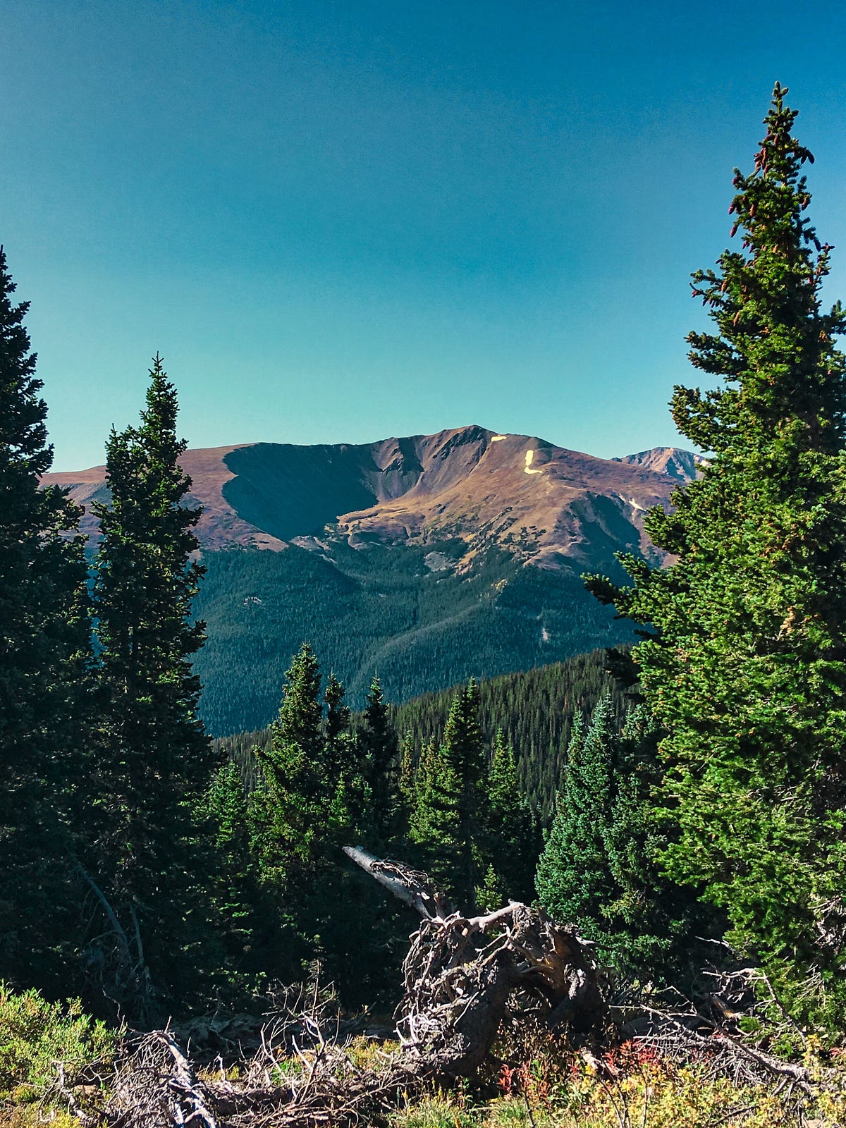 Hiking Sober - Medium
