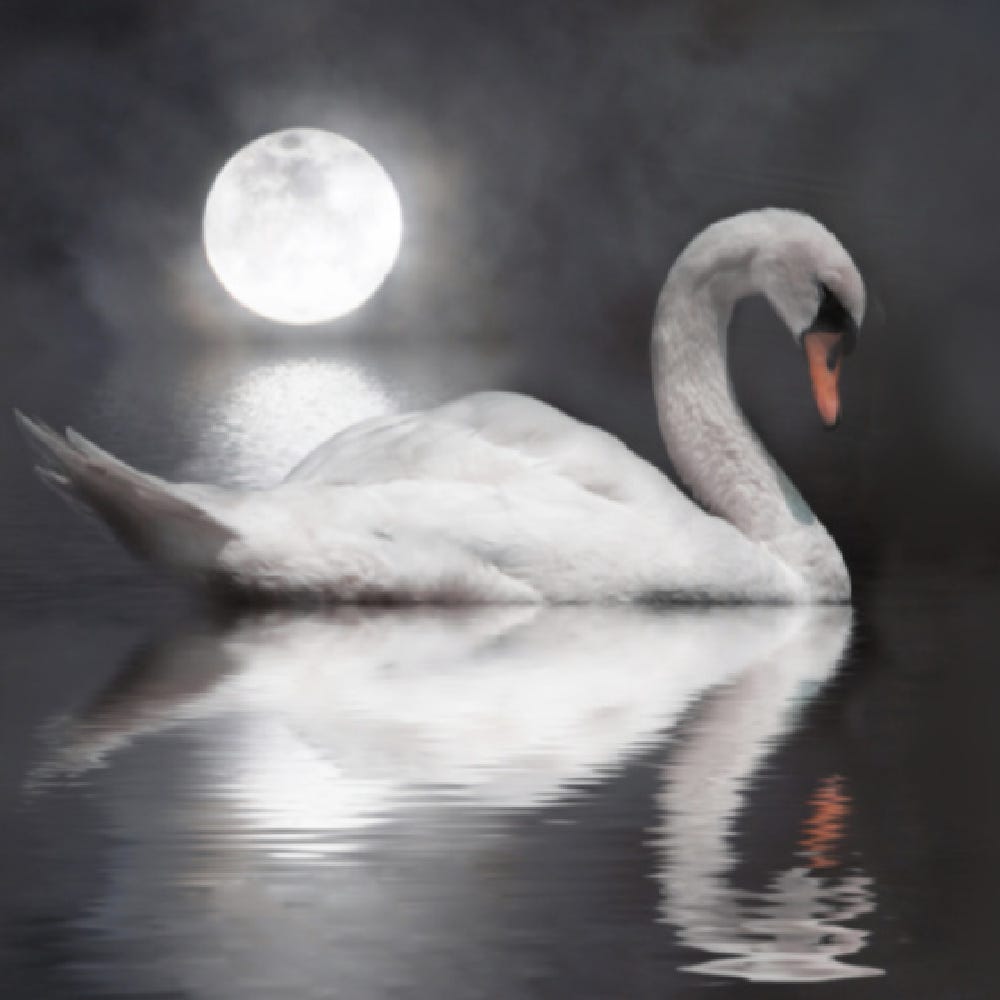 On Reflection - Medium