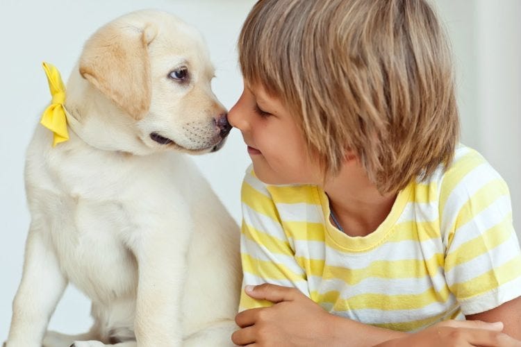THREE BEST DOG BREEDS FOR KIDS – Medium