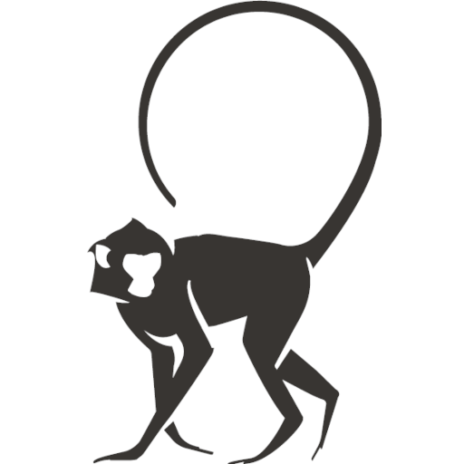 Gray Langur Tours - Medium