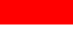 Software Engineering Indo Medium