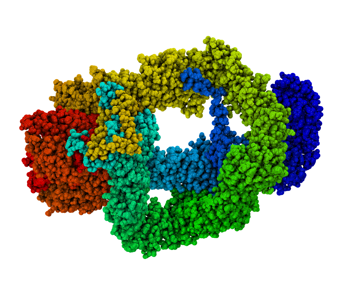A protein ring – Life’s Building Blocks – Medium