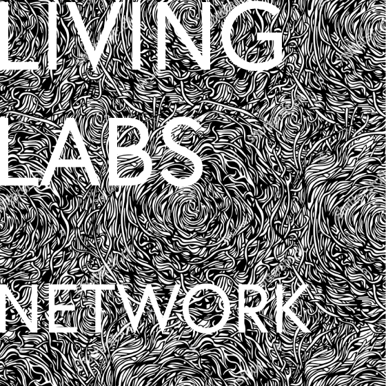 LLN-Fieldnotes - Medium