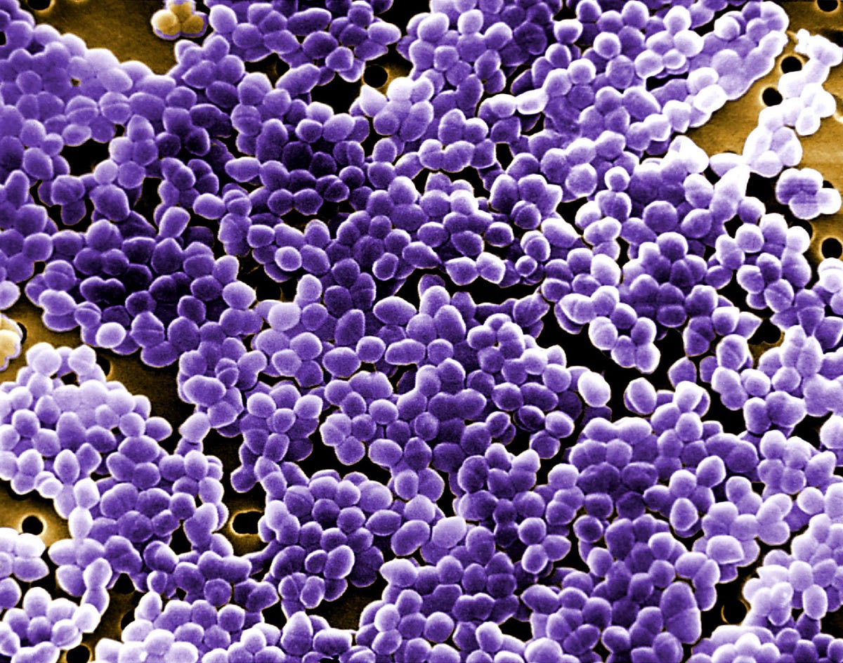 What’s the secret of infection control? – Health and Disease – Medium