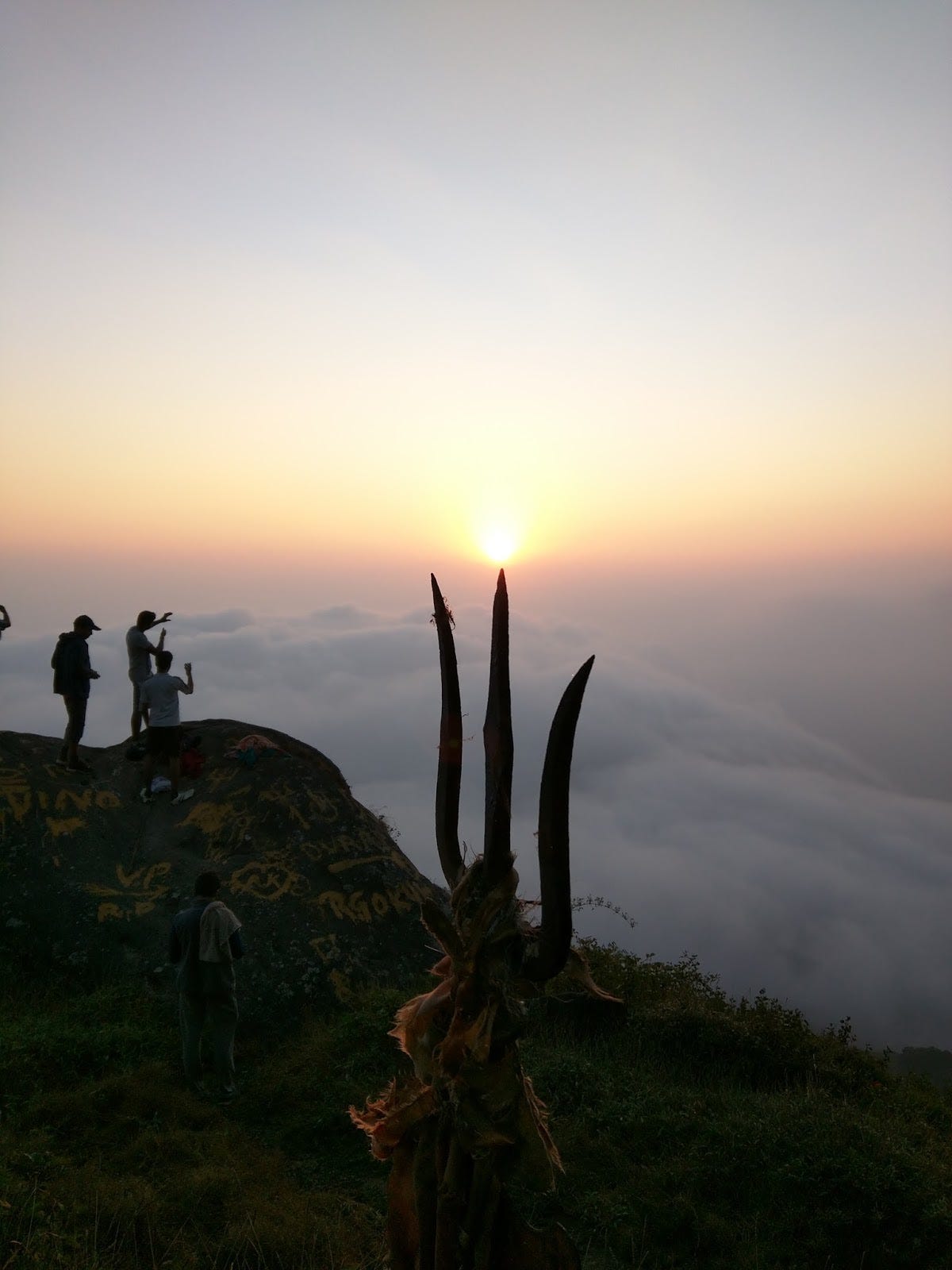 Velliangiri Mountains — An insidious and insightful trek