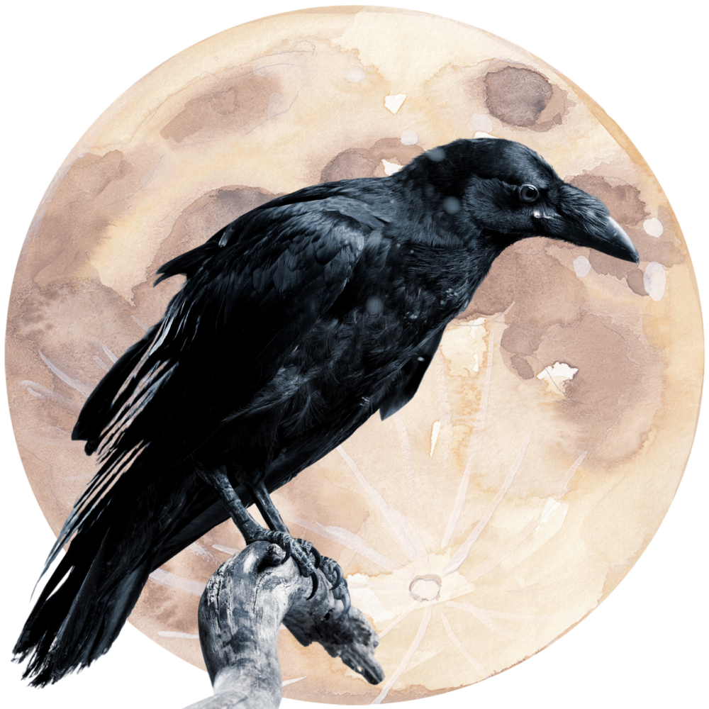 Raven Tongue - Medium