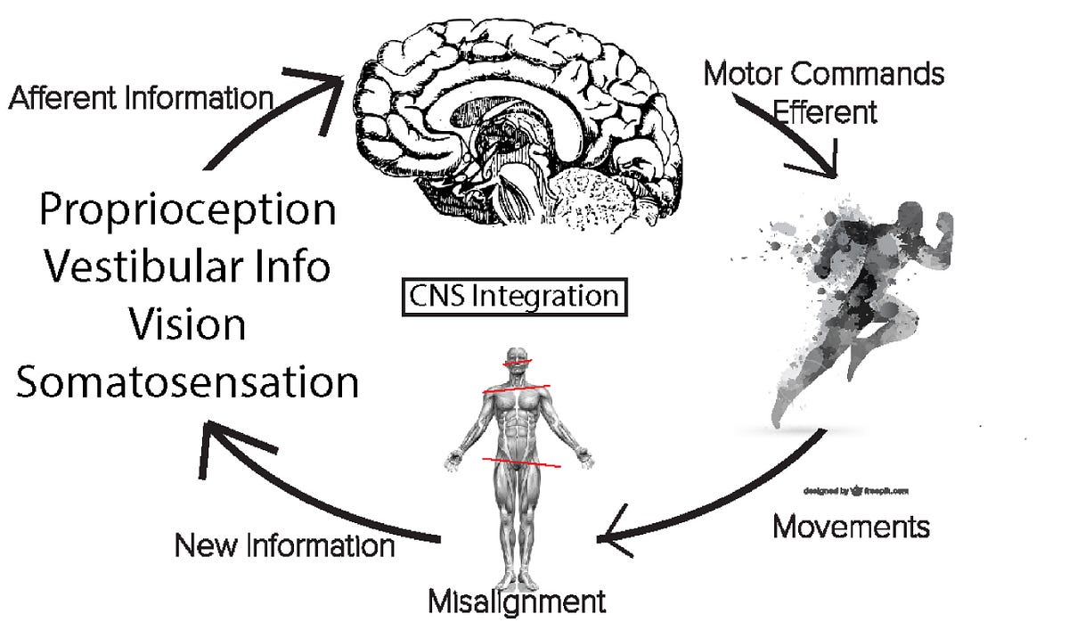 Optimize Health Medium Optimize Health Medium