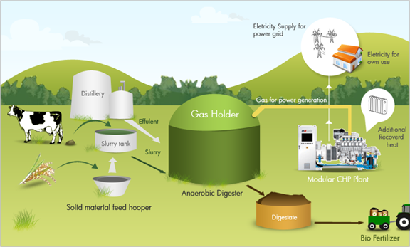 Biogas Power Solution – Enerzea Power Solutions – Medium