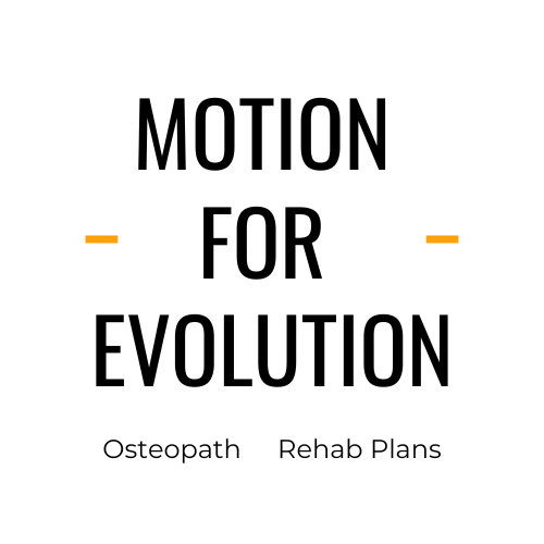 Motion for Evolution - Medium