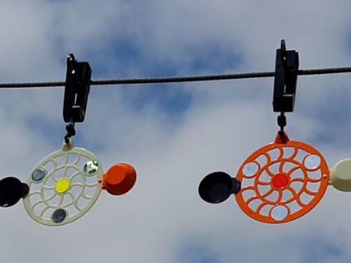 Install Reflective Bird Diverter on Transmission Lines To Save Birds’ Lives