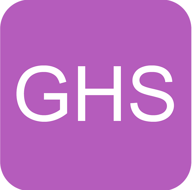 Government Human Service - Medium
