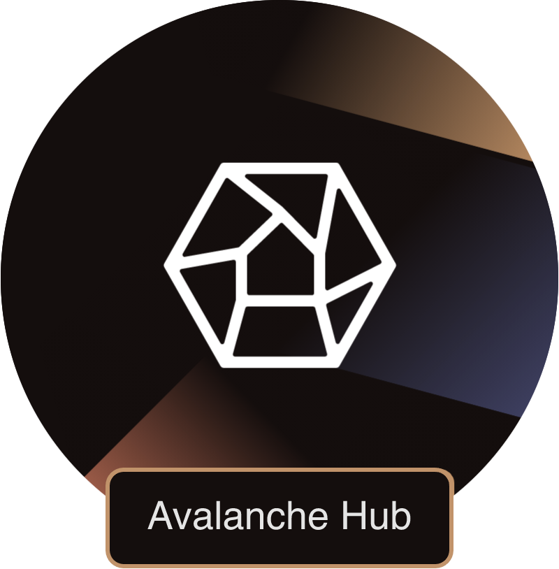Avalanche Hub - Medium