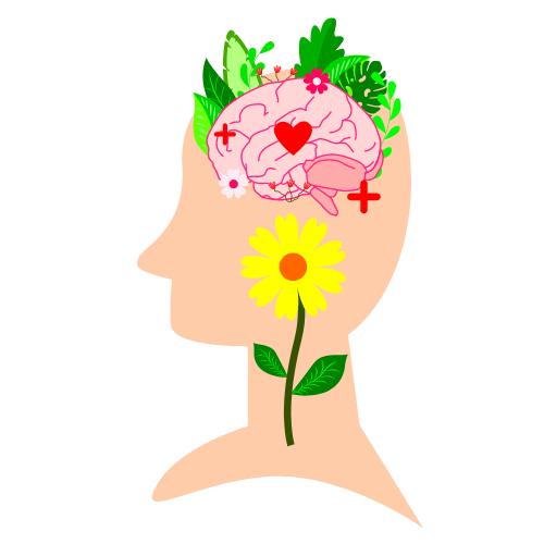 The Psychology and Mental Health Edition - Medium