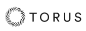 Torus Inc - Medium
