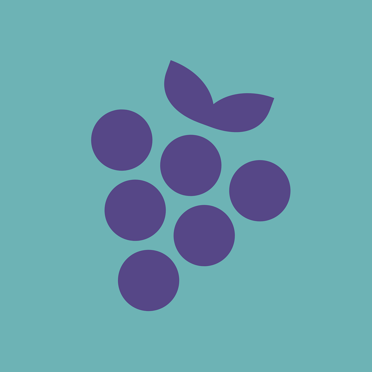Grape — Digital Grocery Inventory - Medium