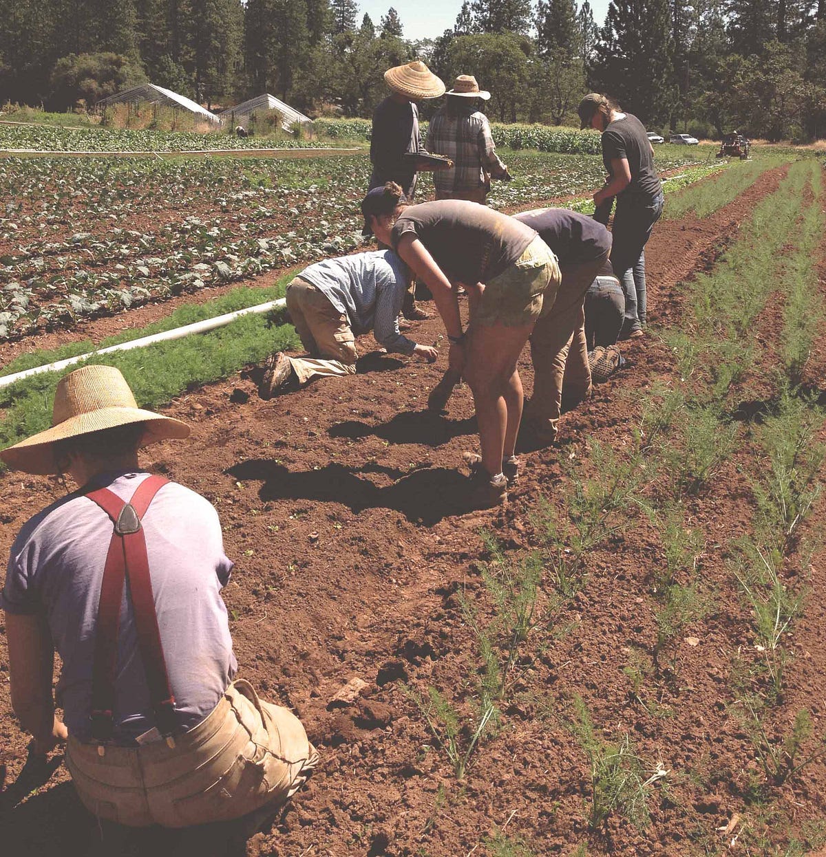 Meet the Food & Farming Innovators - Medium