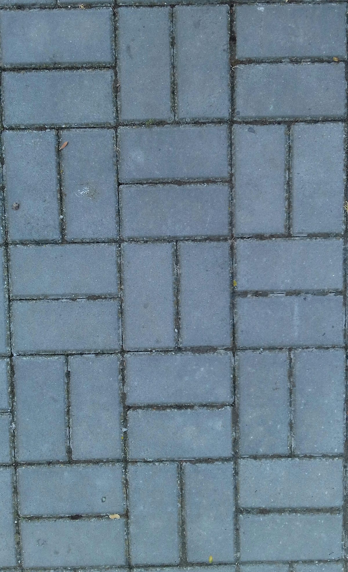 Solovio Egor - Medium
