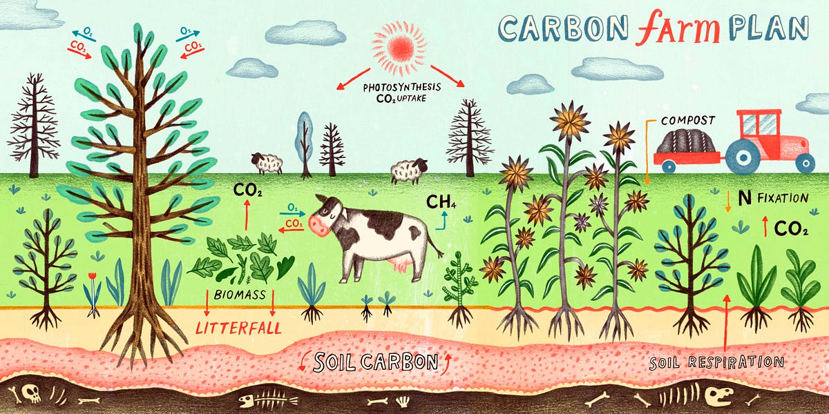 23. You Will Grow a Carbon Farm – Why 2015 Won’t Suck – Medium