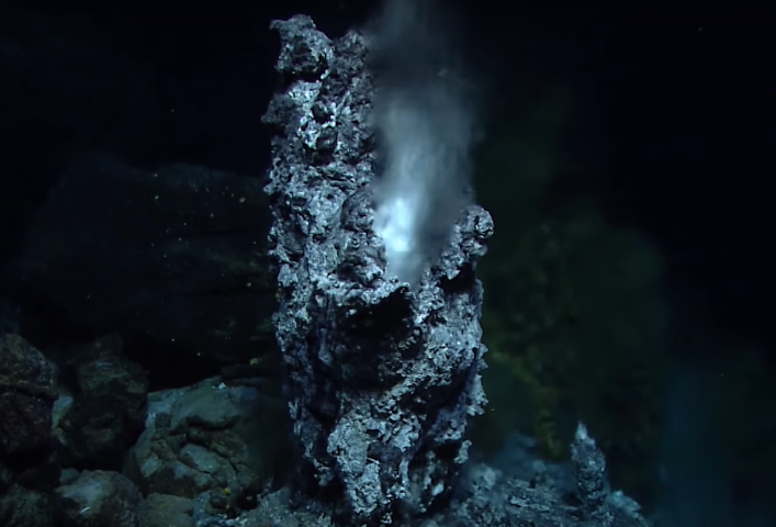 How Giant Tube Worms Survive at Hydrothermal Vents – I Contain ...