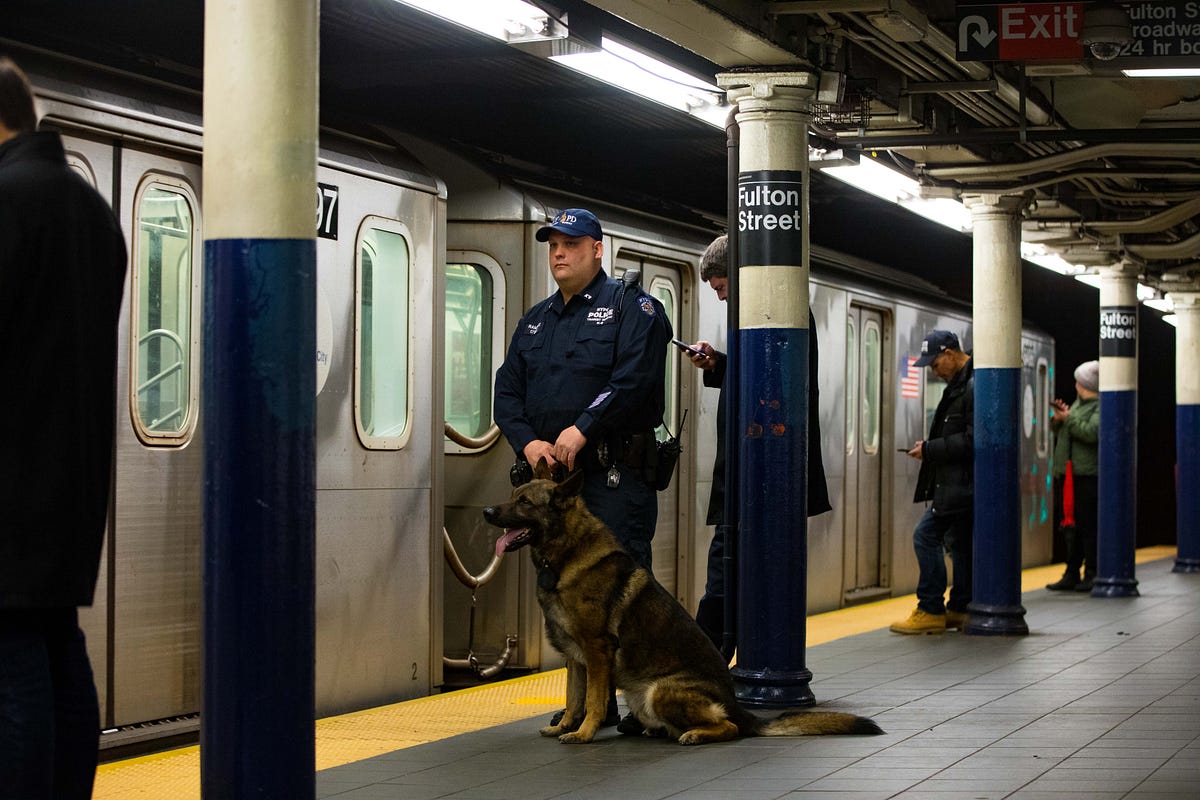 NYPD Transit Bureau K-9 Unit – NYC Mayor's Office – Medium