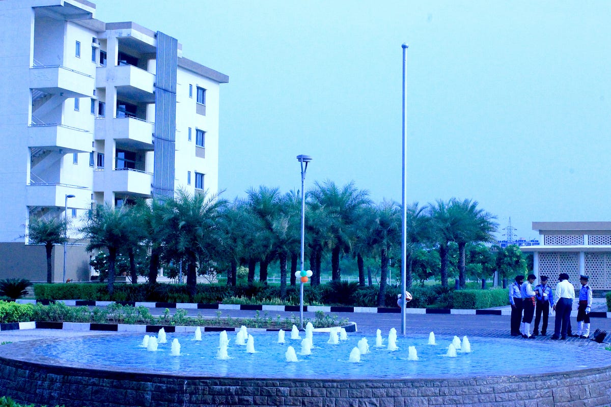 View point - Medium