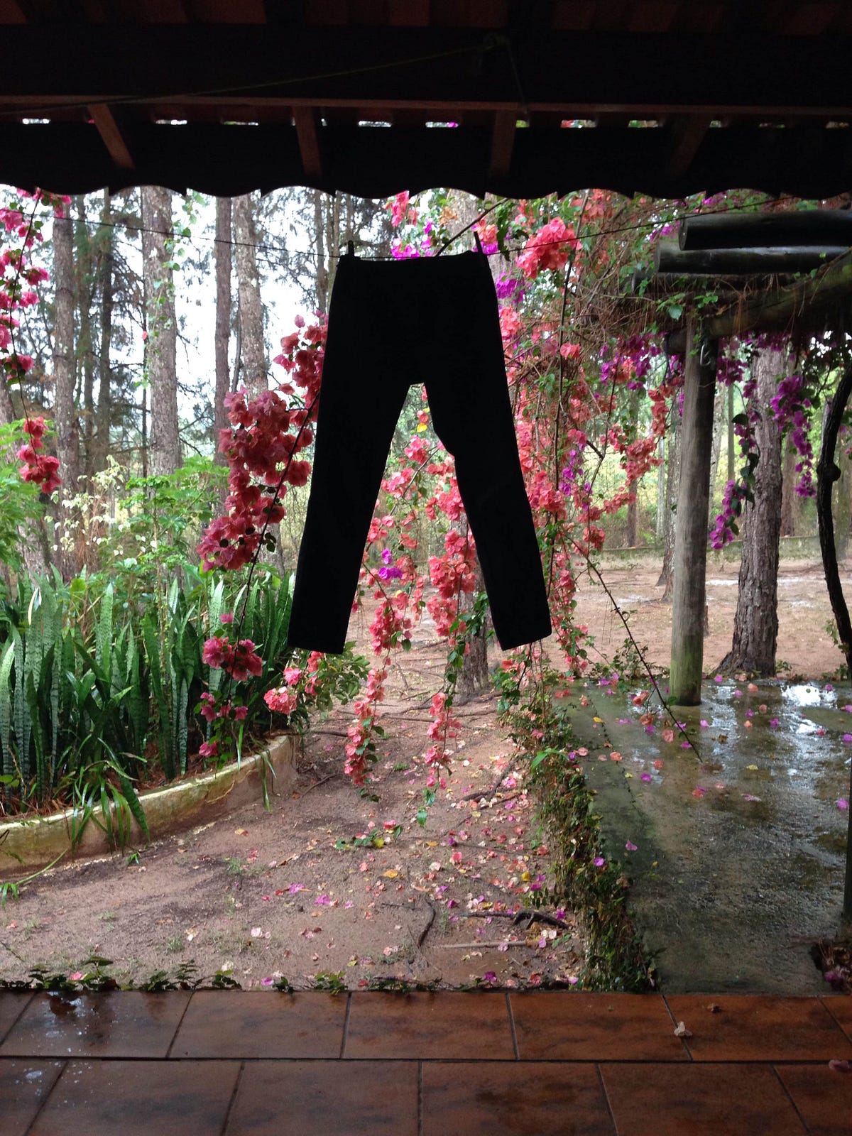 Histórias das Minhas Roupas - Medium