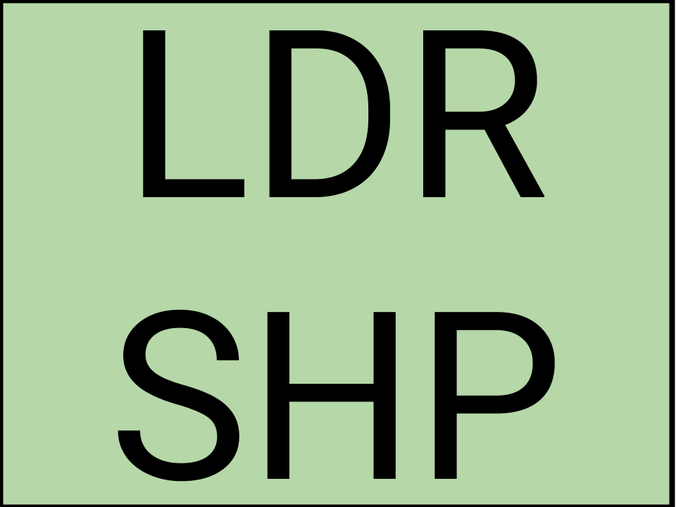 LDRS - Medium