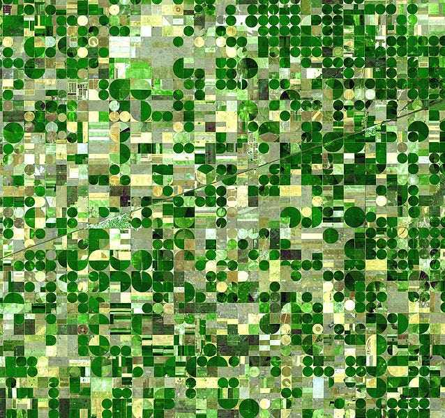 Datafarm - Medium