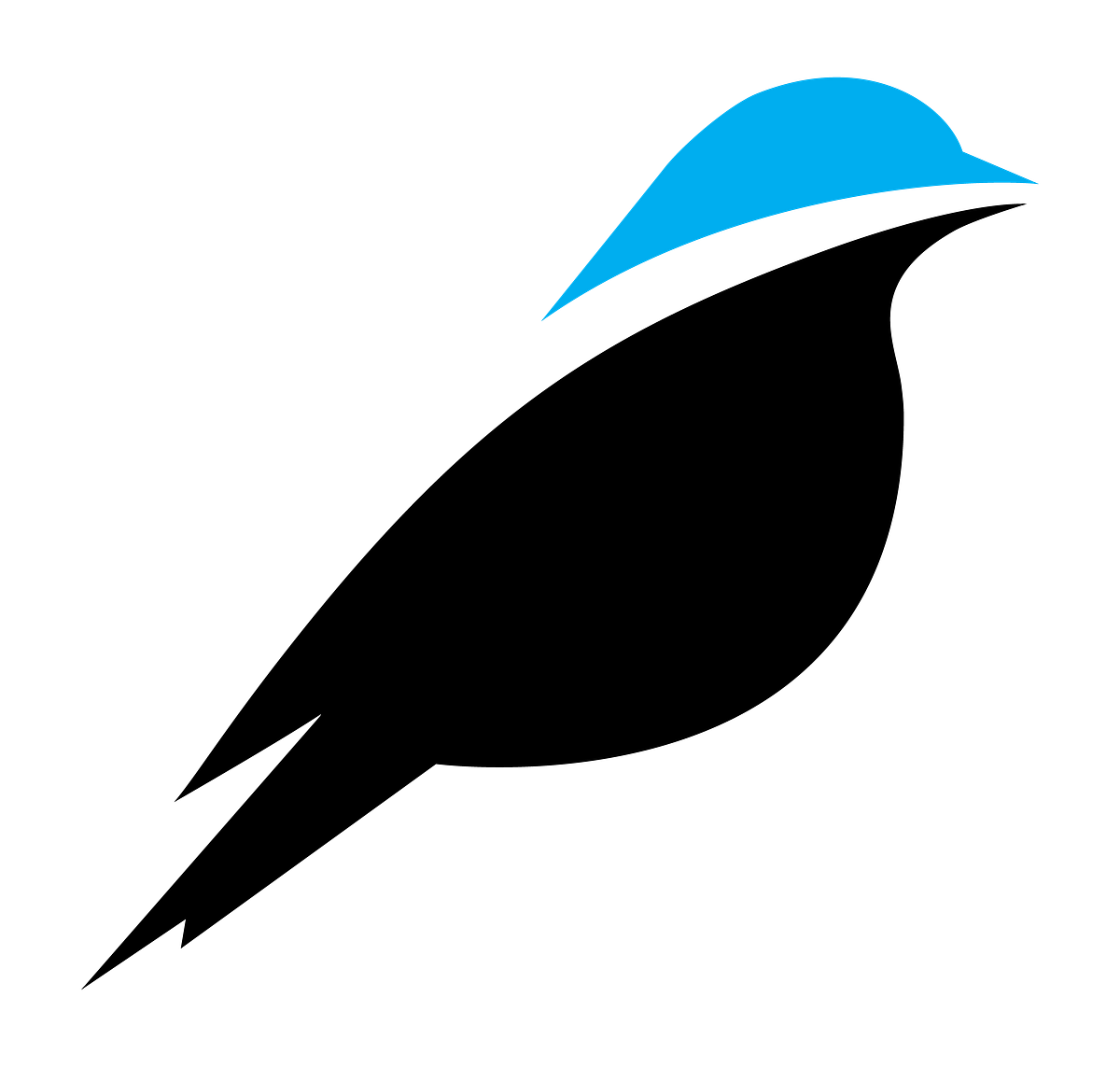 Speedle – Medium
