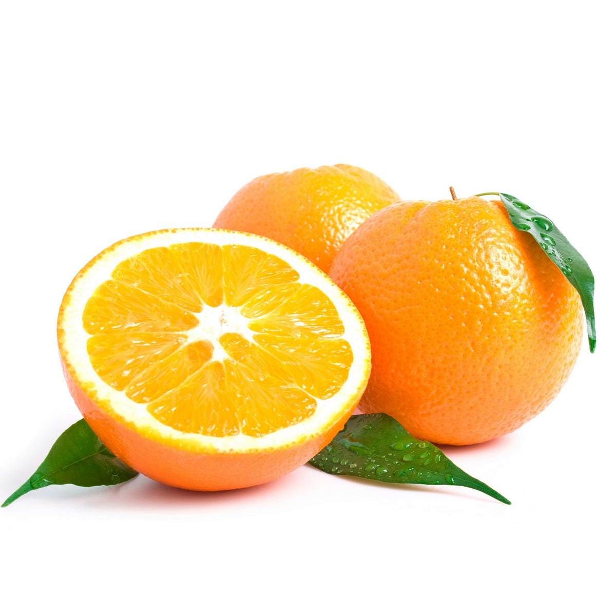 Sage Orange - Medium