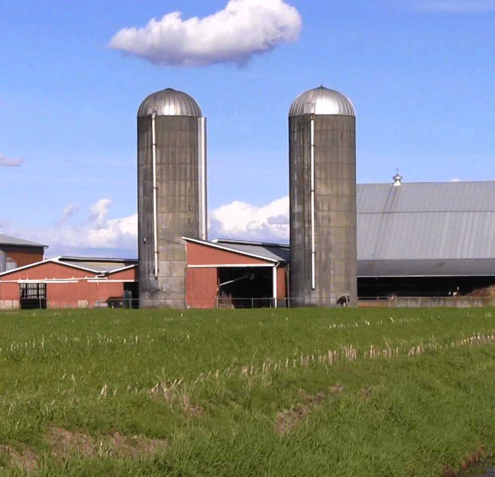 Celebrating America’s Farmers and Ranchers – USDA Results – Medium