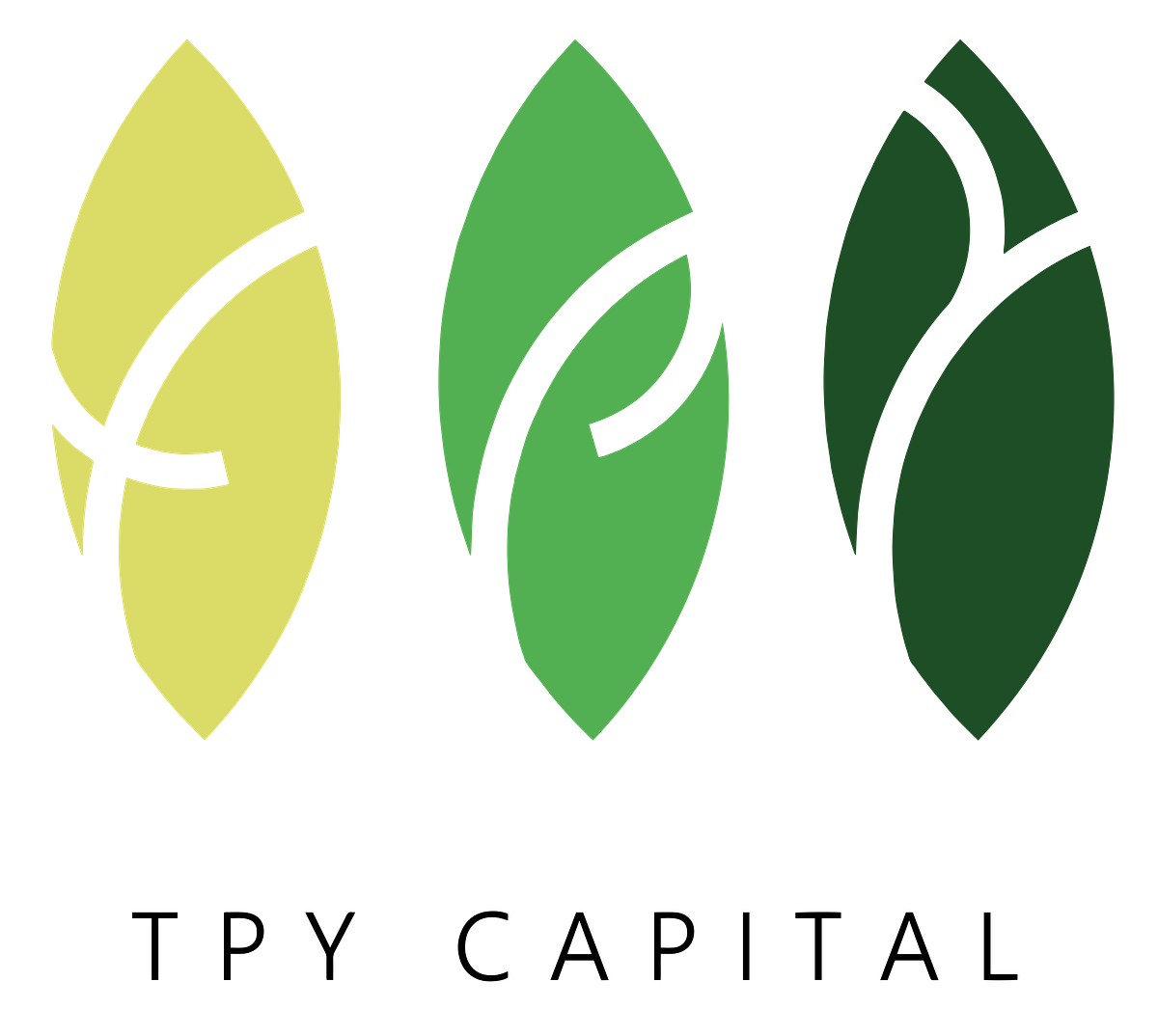 TPY Capital - Medium