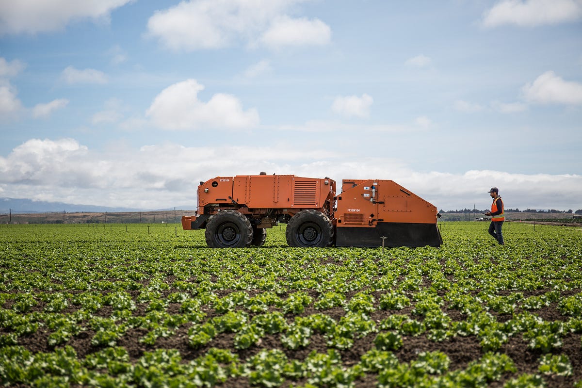 FarmWise – Medium