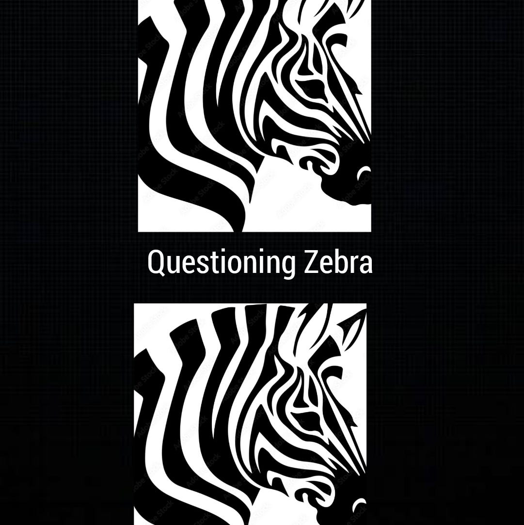 Questioning Zebra - Medium