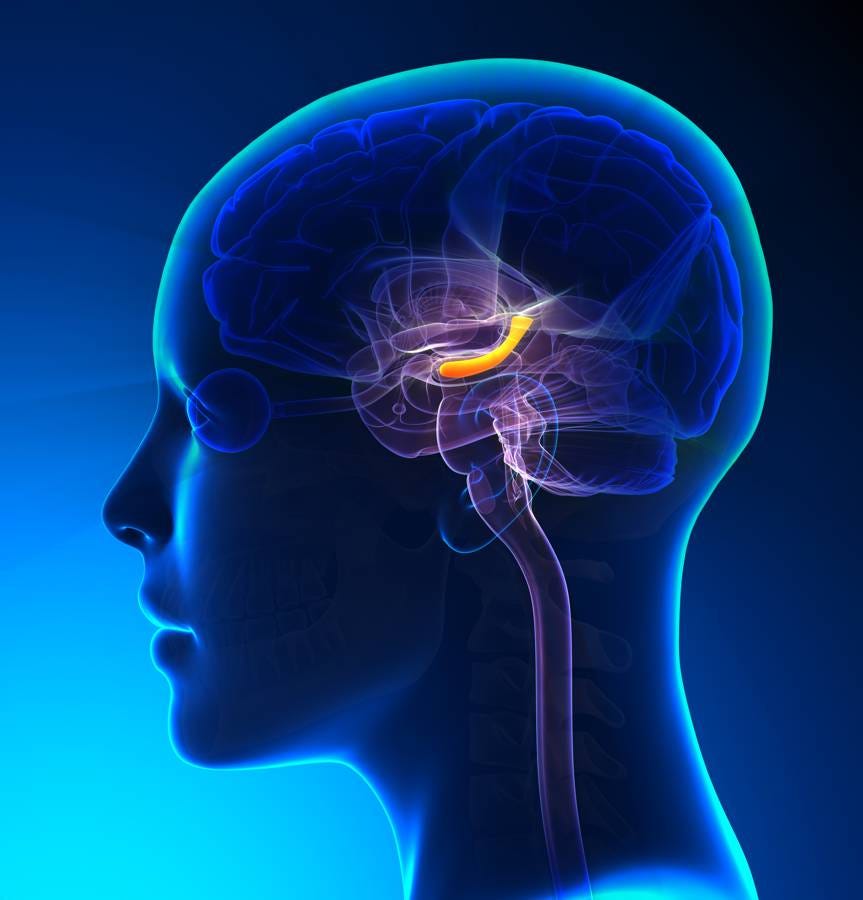 Mnemonic Devices: Playing Mind Games With Your Memory