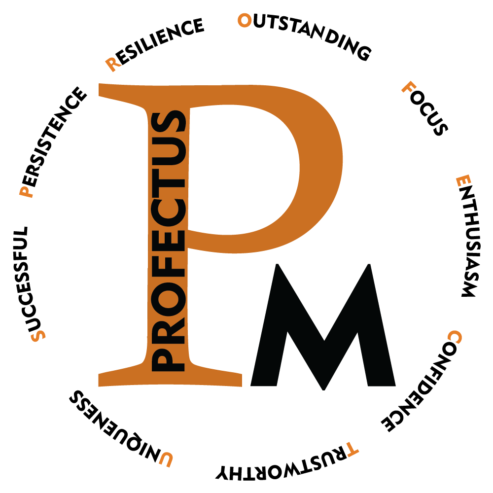 PROFECTUS MAGAZINE - Medium