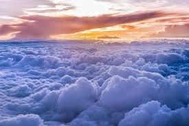 Environment Surrounding Us - Medium