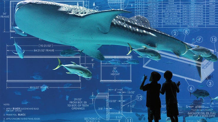Teacher Story: “Aquarium Architects” Brings Math Formulas to Life in ...