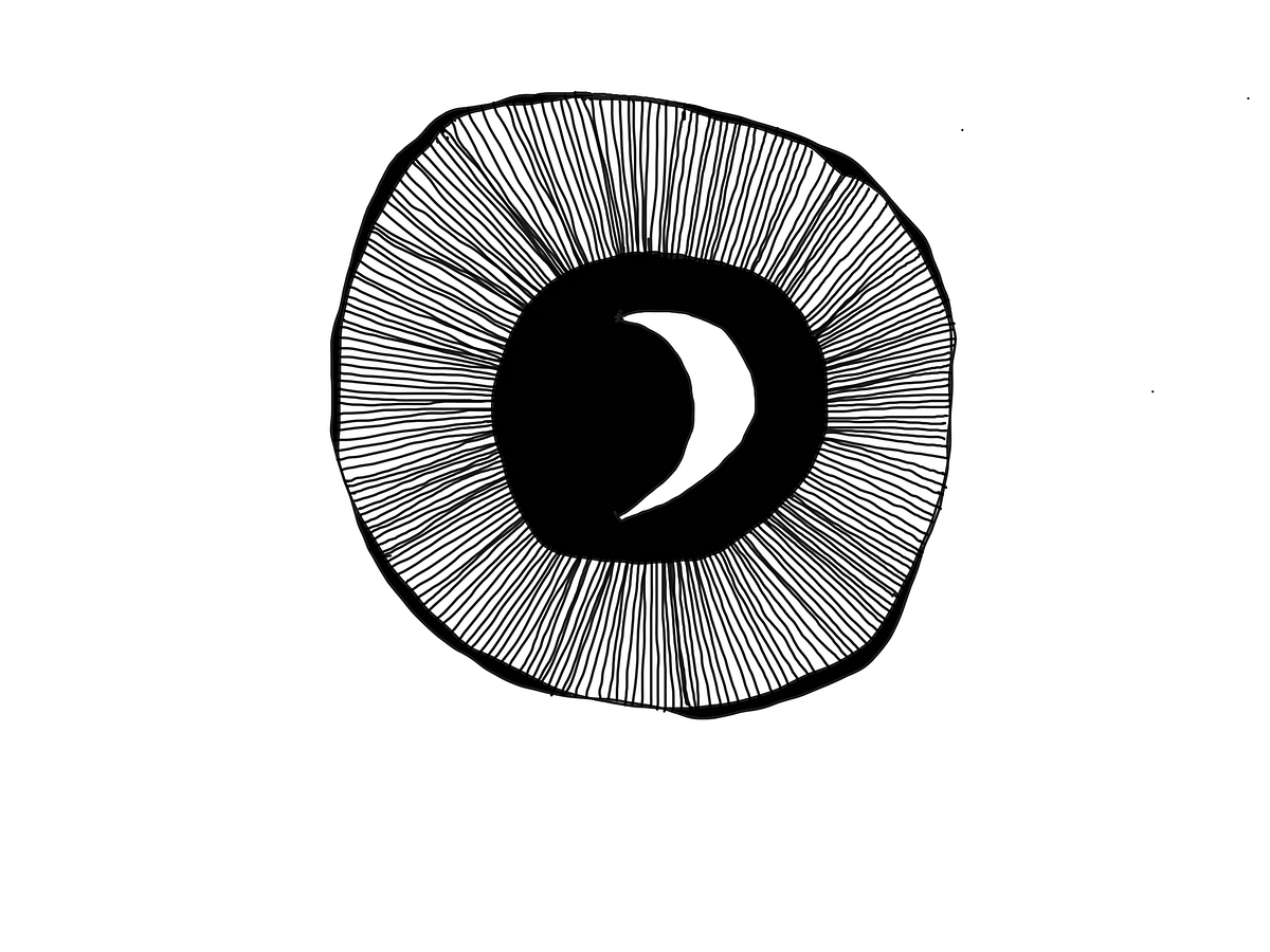 Night Vision - Medium